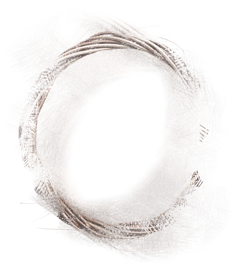 AUTÓCTONOS Y TRADICIONALES | CONADE