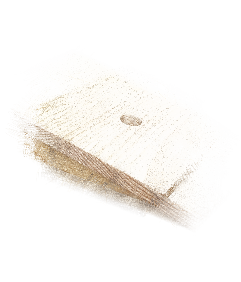 AUTÓCTONOS Y TRADICIONALES | CONADE